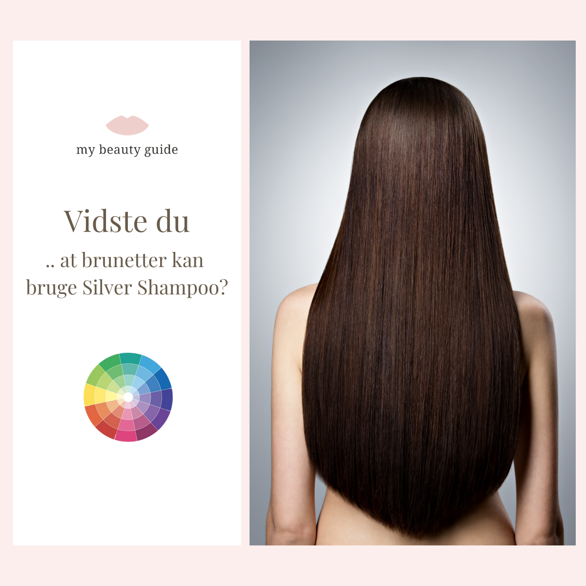 Kan man bruge Silver Shampoo i brunt hår? | Beauty Feed | My Beauty Guide